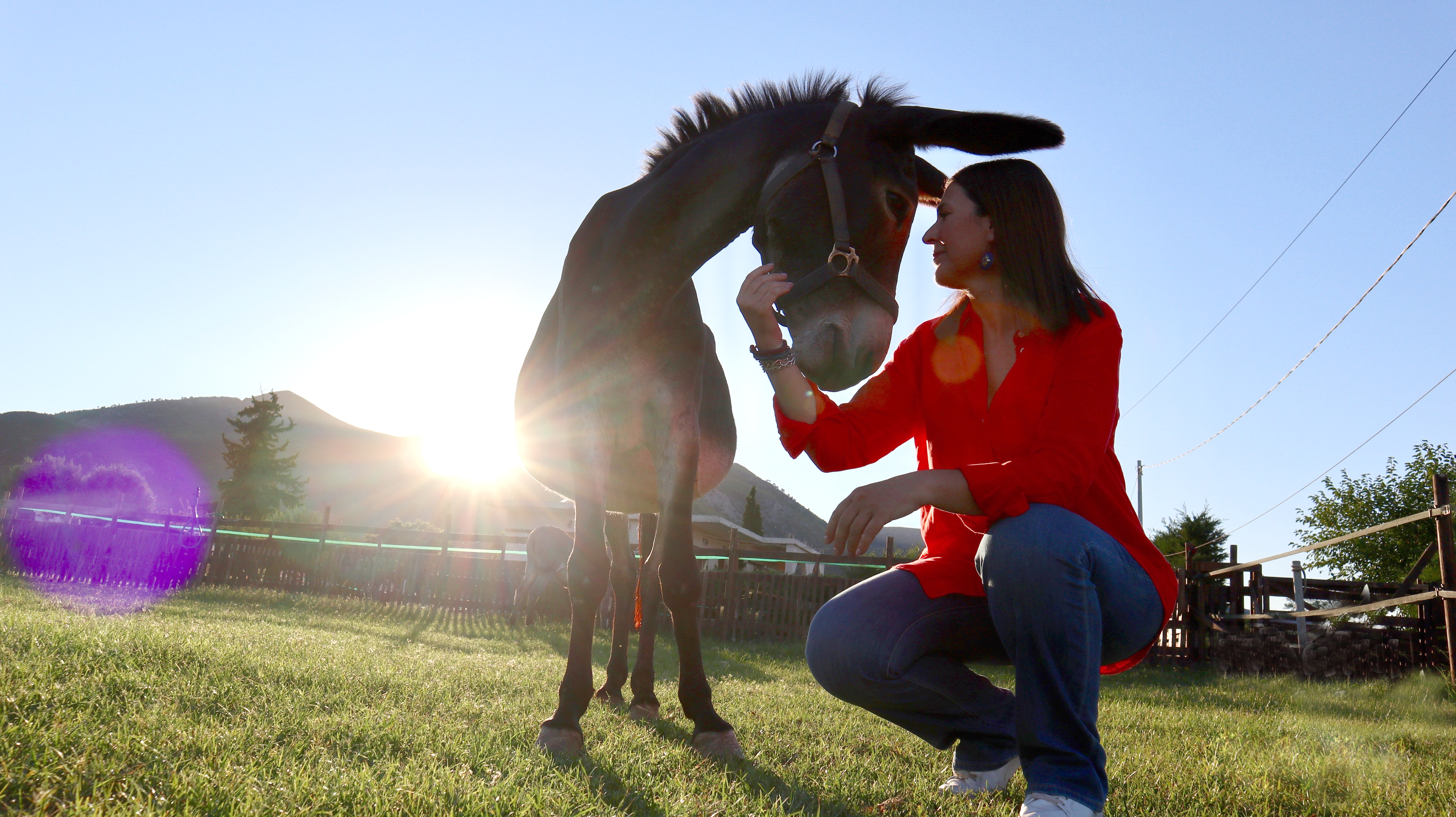Το ERTFLIX αγαπά τα ζώα και το δείχνει - CSR.ERT.GR