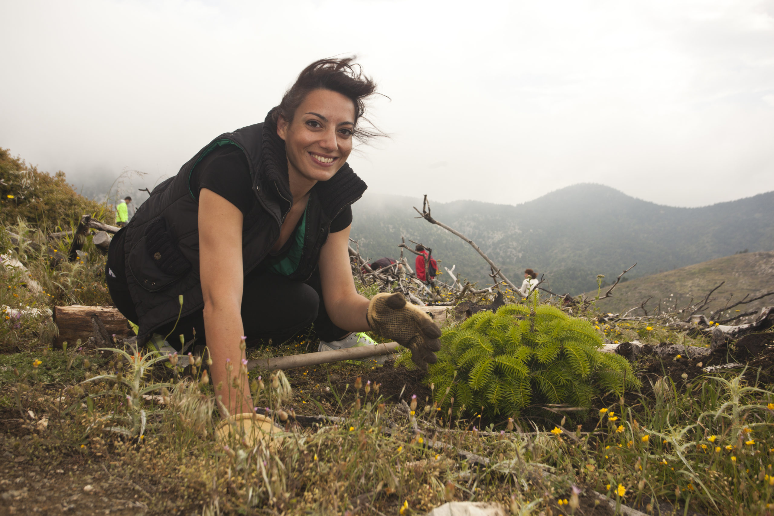 WWF Ελλάς: Πρότυπη αναδάσωση στον Εθνικό Δρυμό Σουνίου σε περιοχή που δεν έχει πλέον τη ...