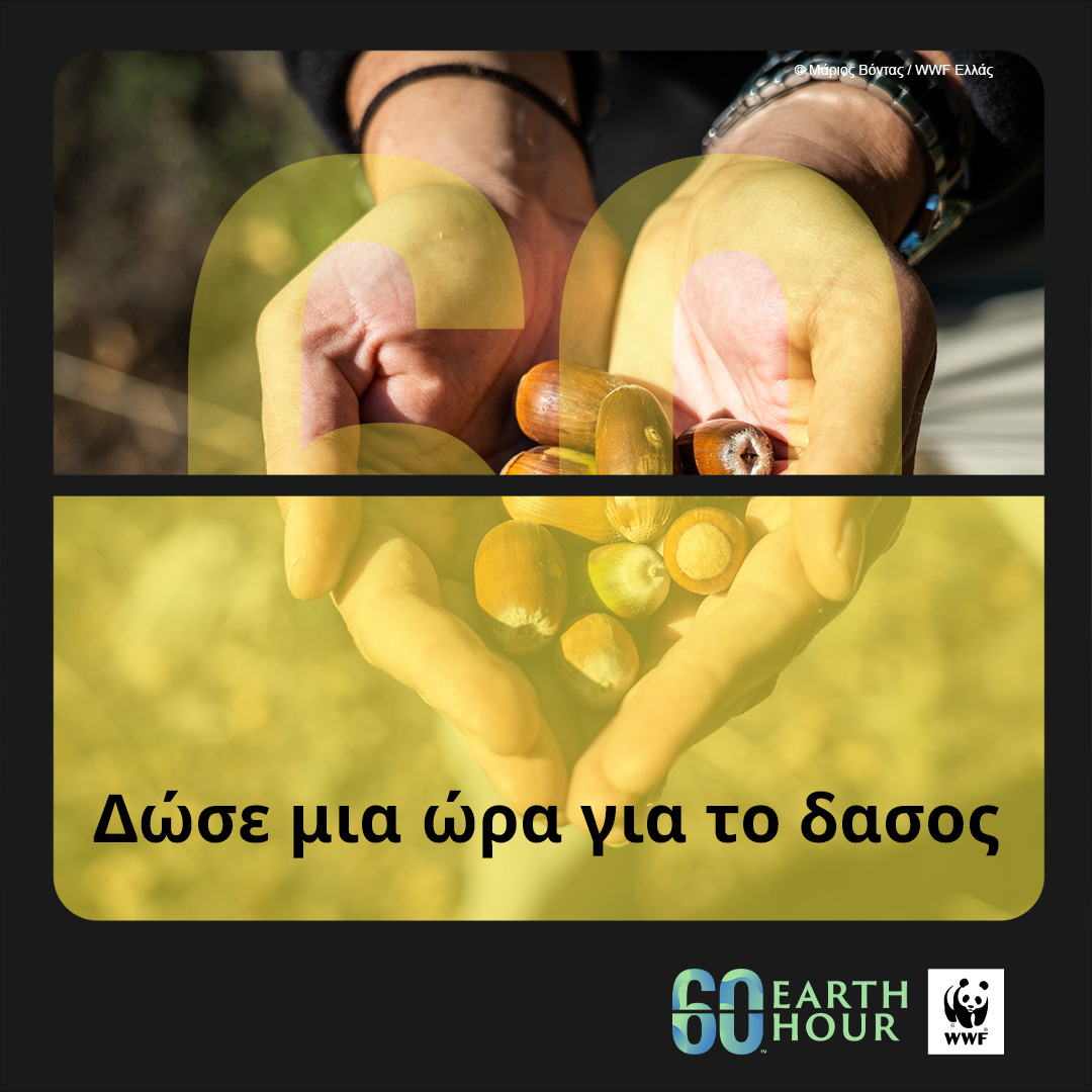 «Ώρα της Γης 2024»: Η μεγαλύτερη ώρα για τη Γη! - CSR.ERT.GR