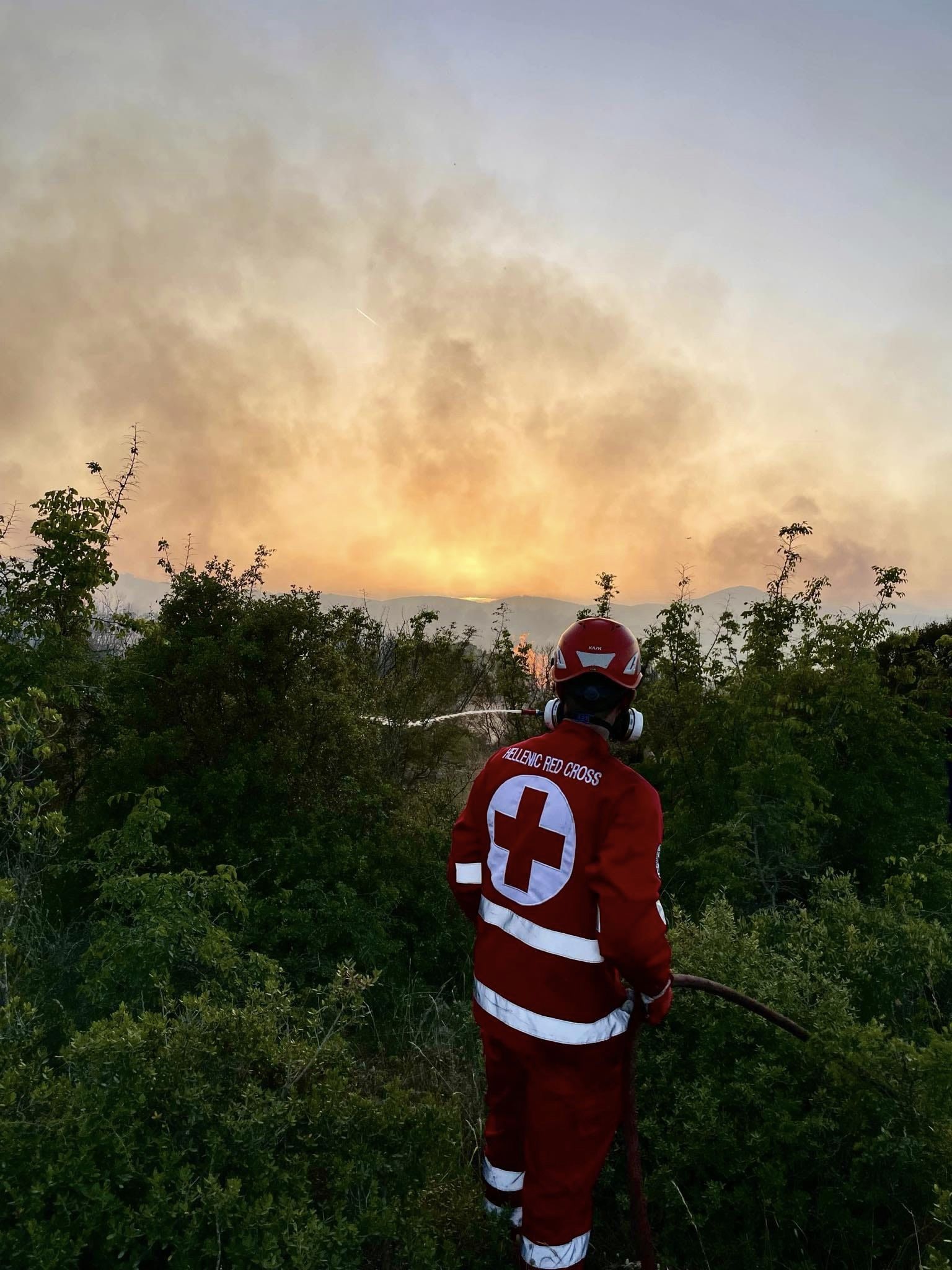 Ο Ελληνικός Ερυθρός Σταυρός στην πρώτη γραμμή της μάχης με τις φλόγες ...