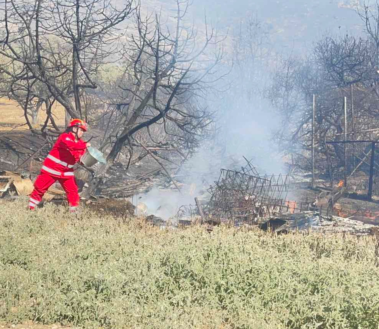 Οι εθελοντές Σαμαρείτες – Διασώστες του Ελληνικού Ερυθρού Σταυρού ...